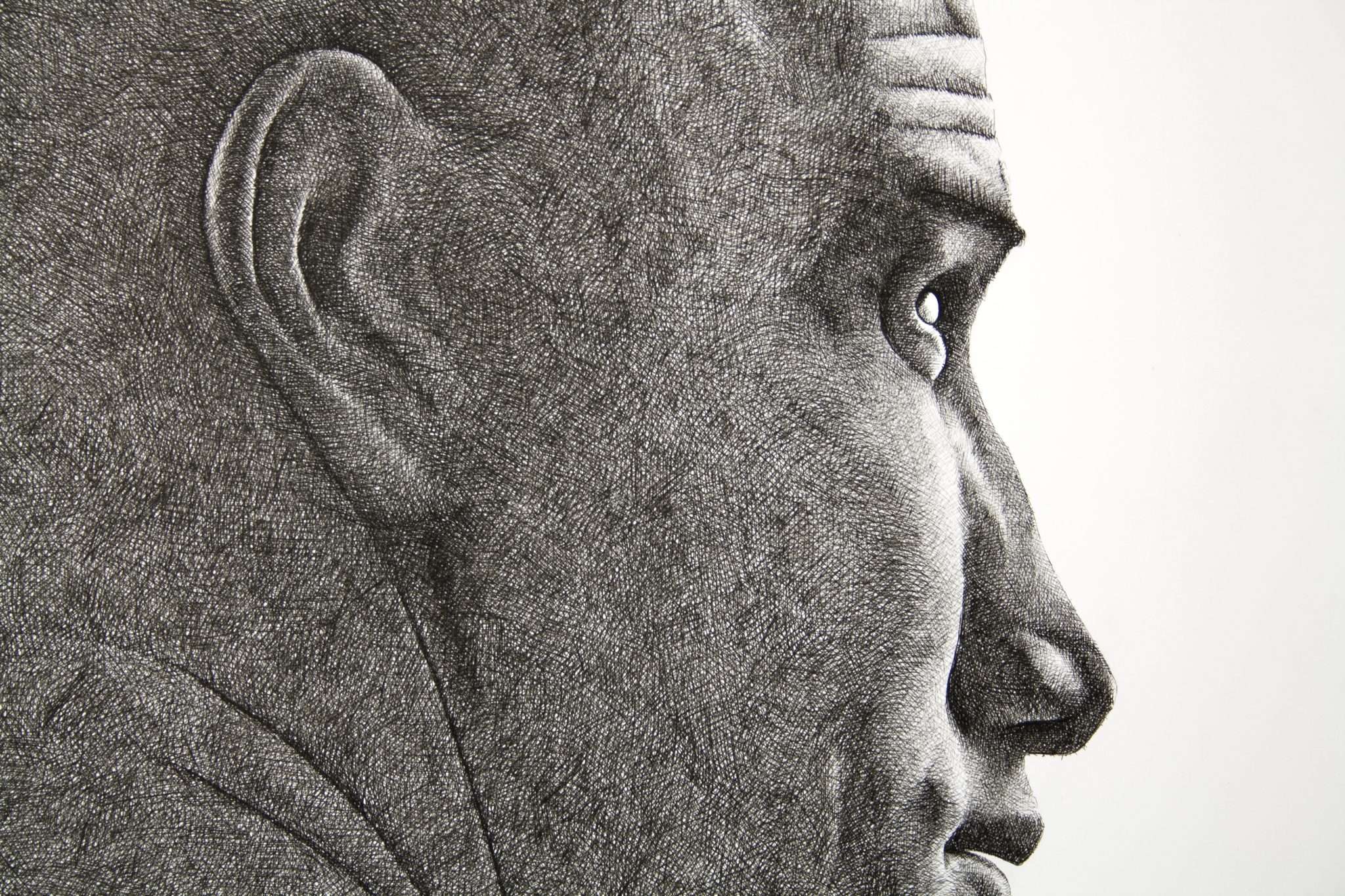 Kelly Slater Portrait | Dean Spinks Art