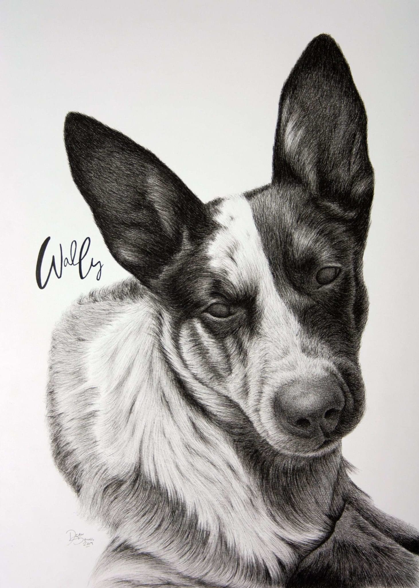 Wally the Dog | Dean Spinks Art