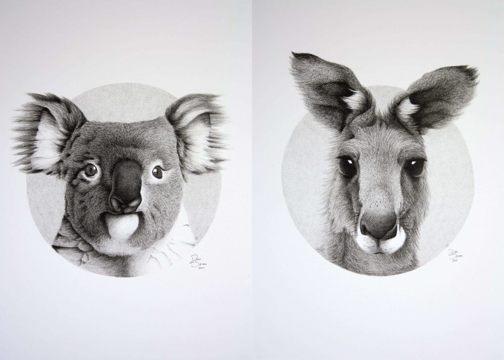 Koala and Kangaroo Duo | Dean Spinks Art