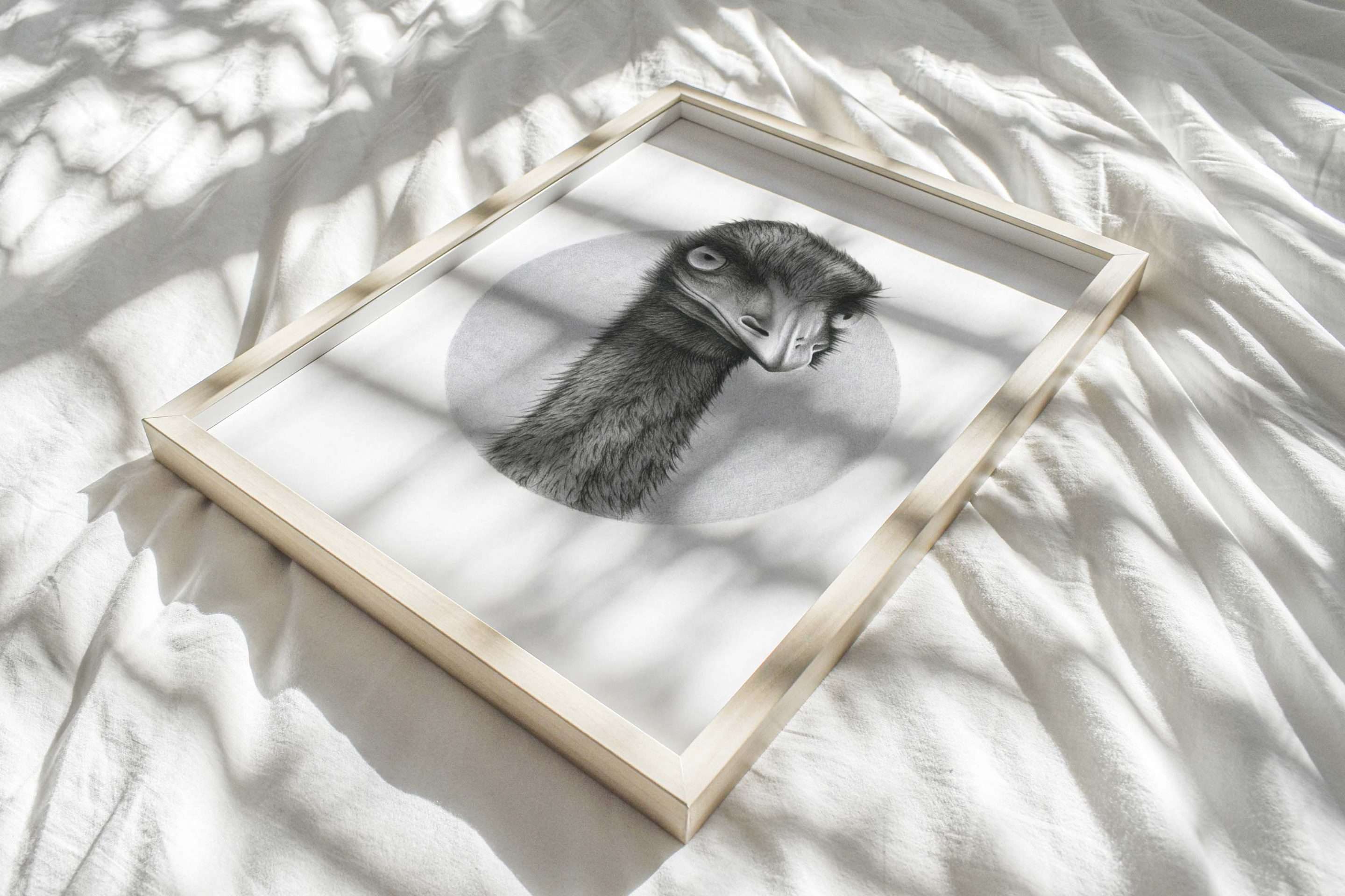 Emu | Print | Dean Spinks Art