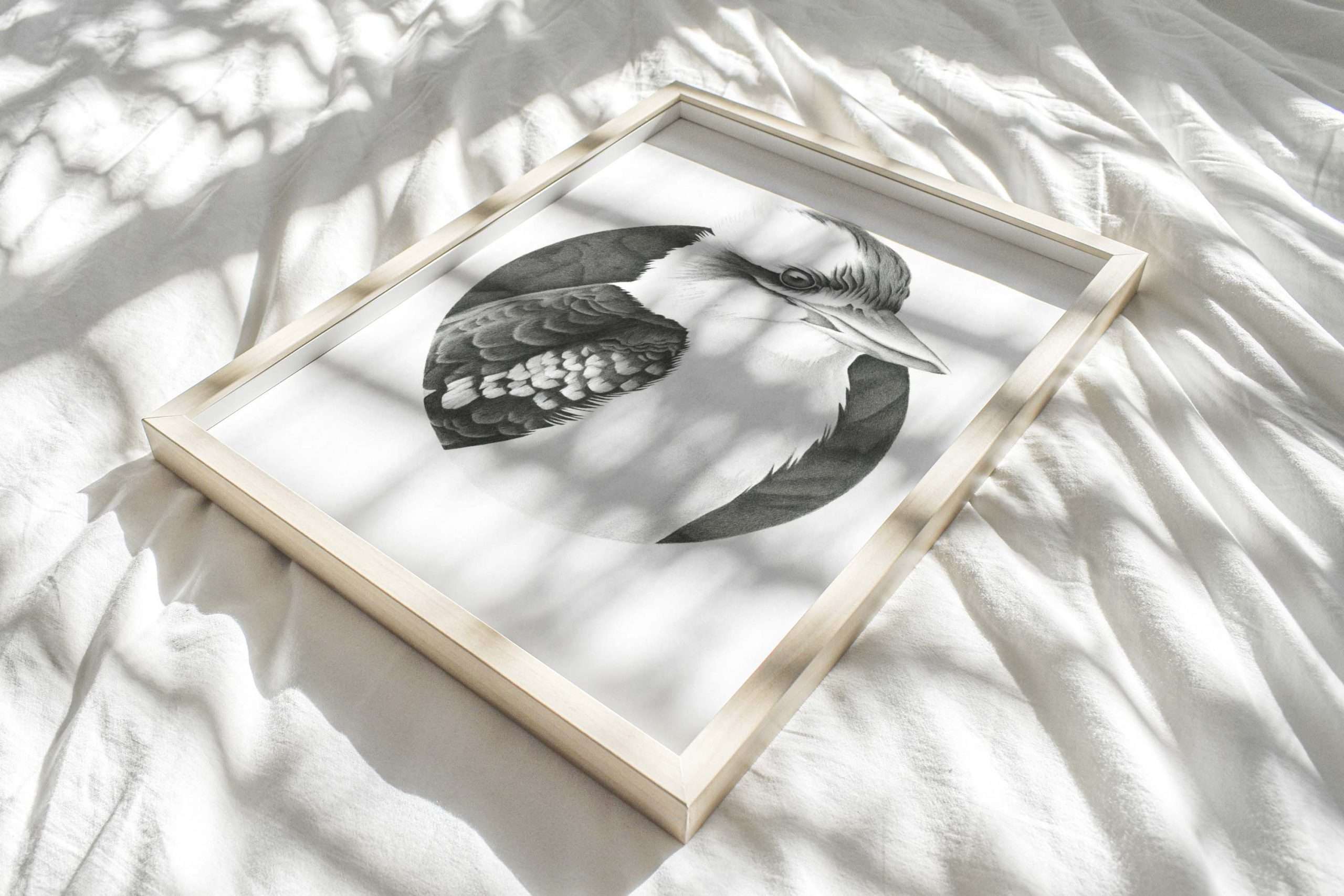 Kookaburra | Print | Dean Spinks Art