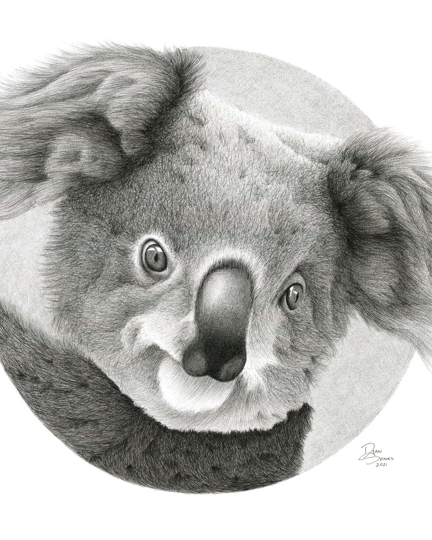 Koala | Original Artwork | Dean Spinks Art