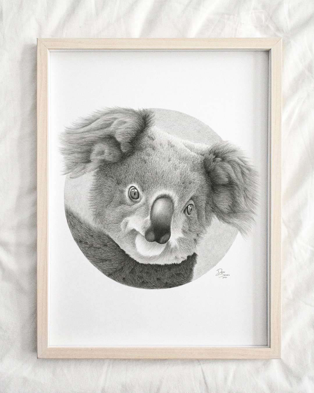 Koala | Original Artwork | Dean Spinks Art