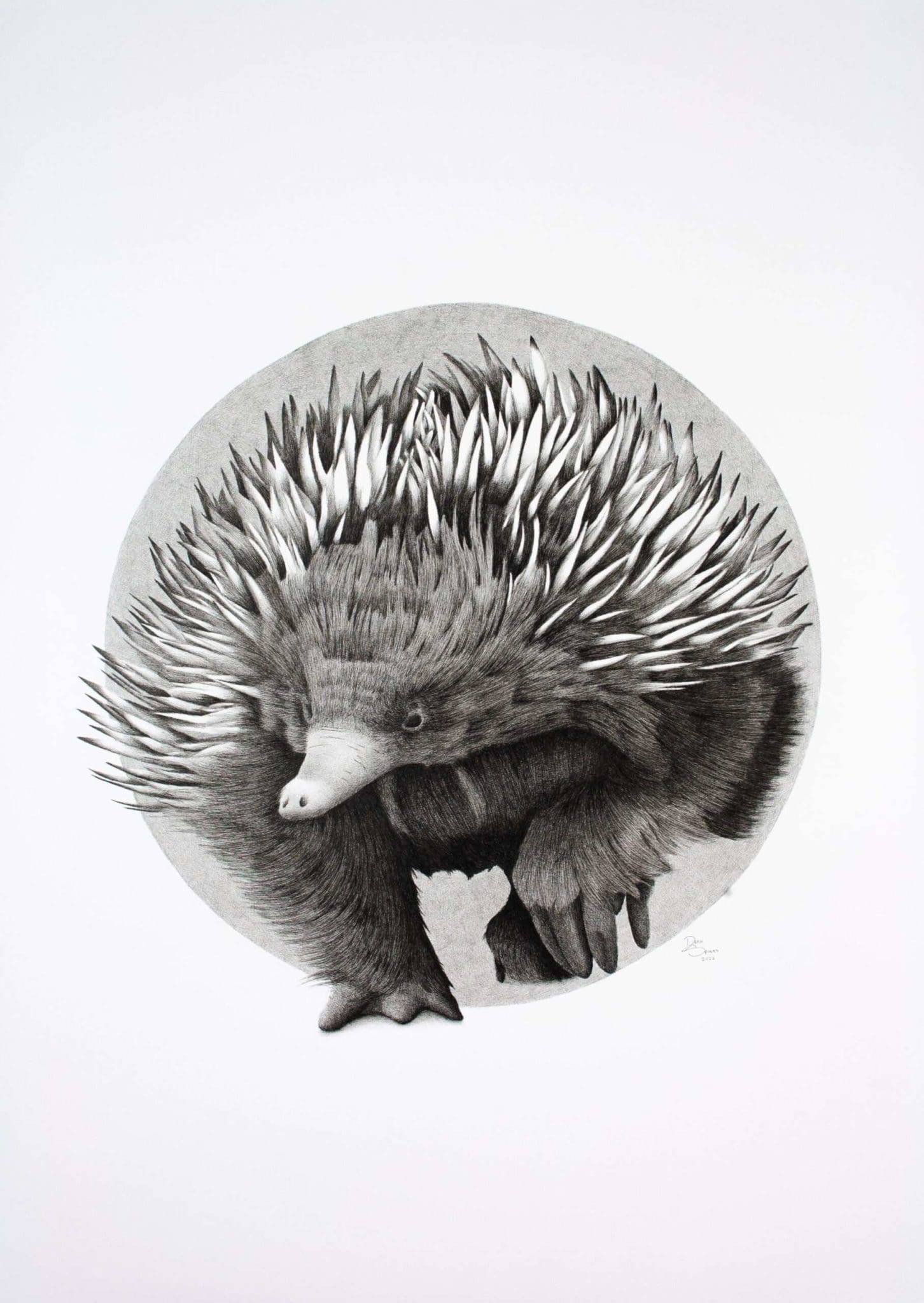 New Natives | Dean Spinks Art