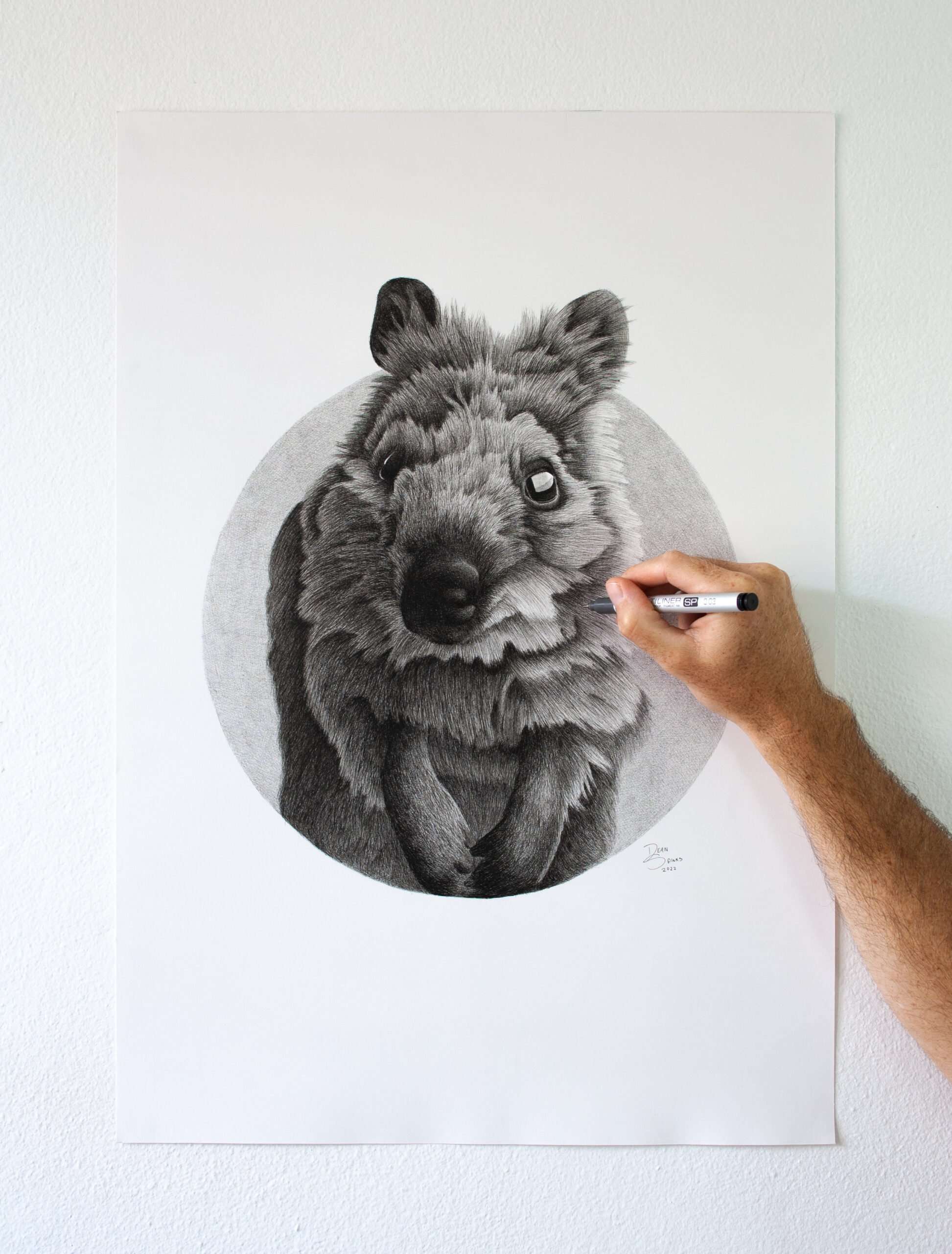 Quokka | Original Artwork | Dean Spinks Art