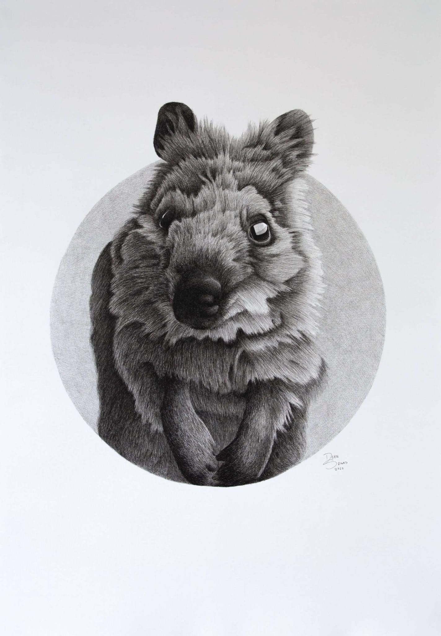 Quokka | Original Artwork | Dean Spinks Art
