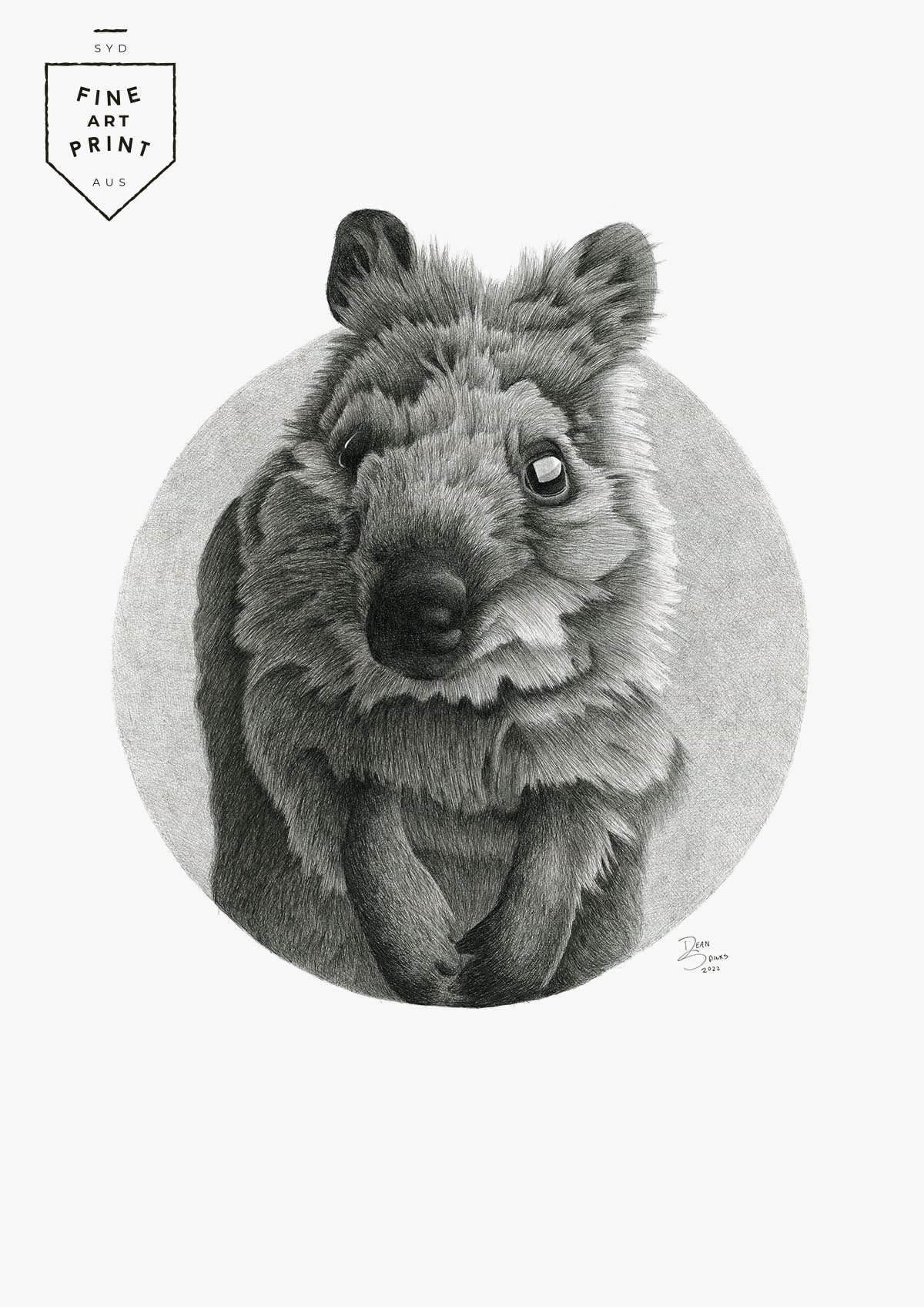 Quokka | Print – Dean Spinks Art