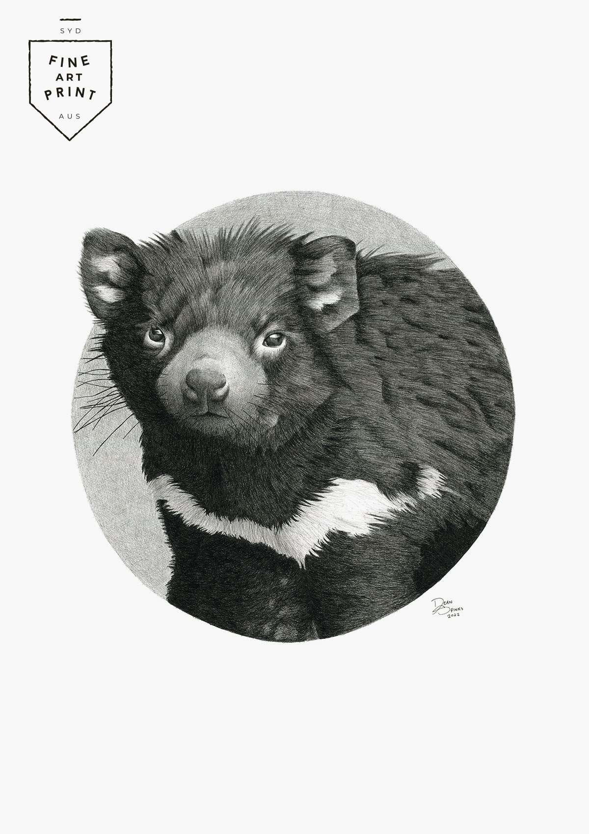 Tasmanian Devil | Print | Dean Spinks Art