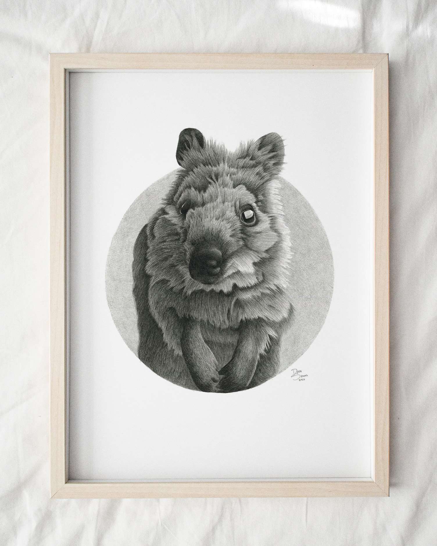 Quokka | Original Artwork | Dean Spinks Art